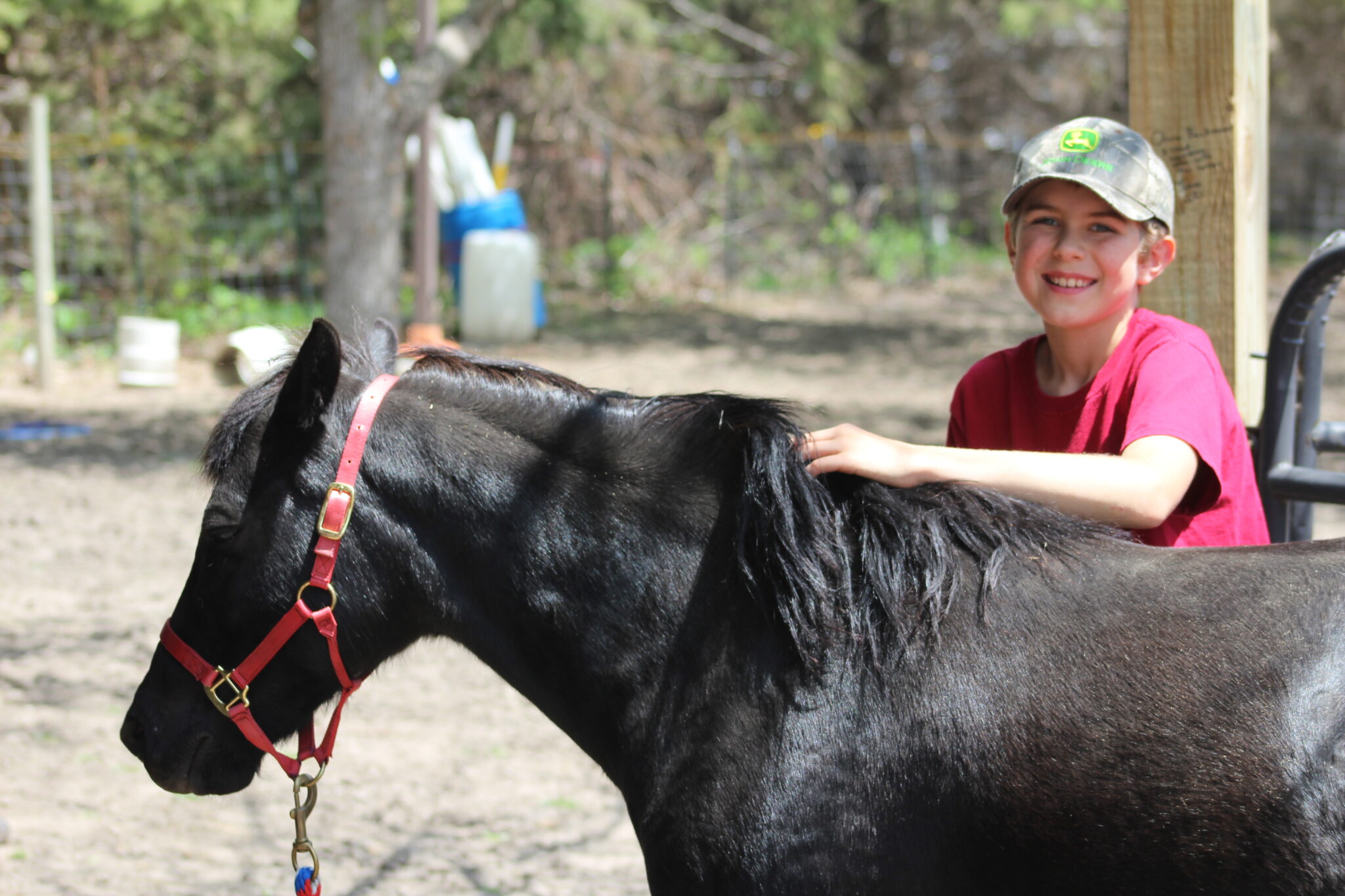 In the Presence of Horses - Communication - LyonHeart Equine Assisted ...