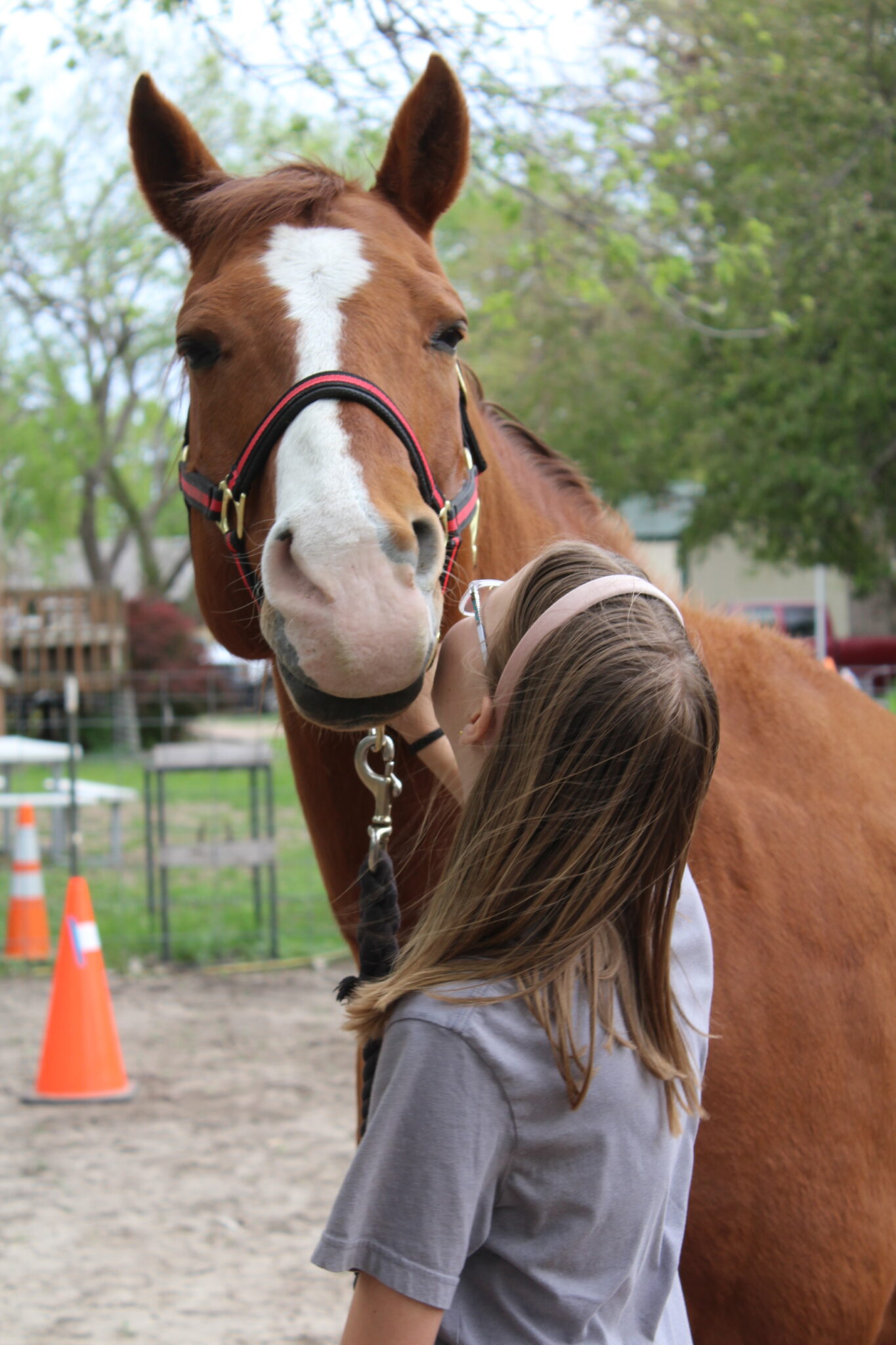 Stable Relationships - LyonHeart Equine Assisted Learning