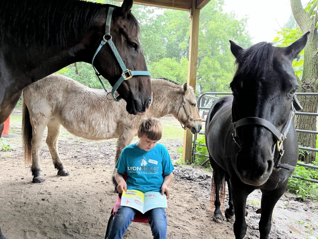 Flexible Ferdinand - HorsePowered Reading - LyonHeart Equine Assisted ...